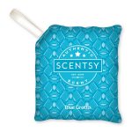 Scent Paks - Scentsy Warming Candles